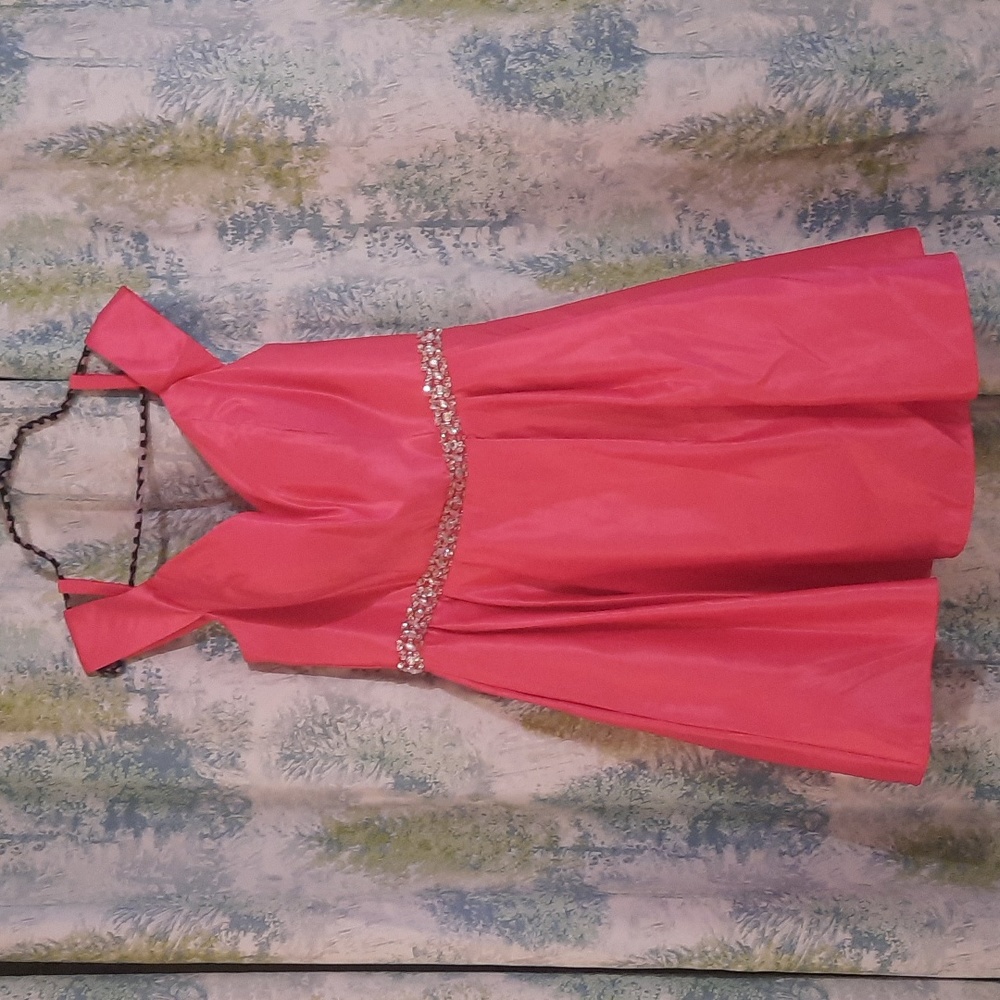 Cindy Vintage Pink Barbie Homecoming/Prom Photo Dress - Gem